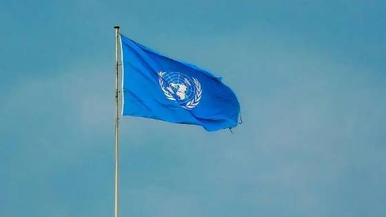 中国人民大学新闻网 - 人大观澜丨“中国有机会为下一个十年做出特殊贡献”